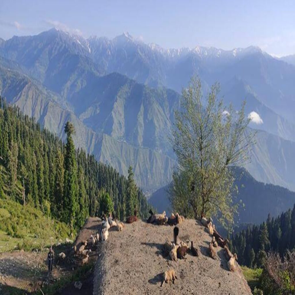 BRAND NEW CAFE OPENED BY THE INDIAN ARMY AT URI - Feet Beyond Roads